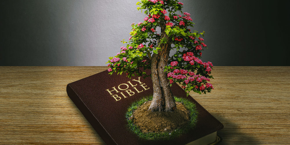 What Does God Say About Pruning?